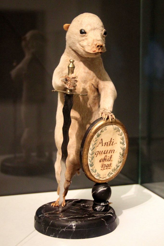 Visit the History and Einstein Museums in Bern