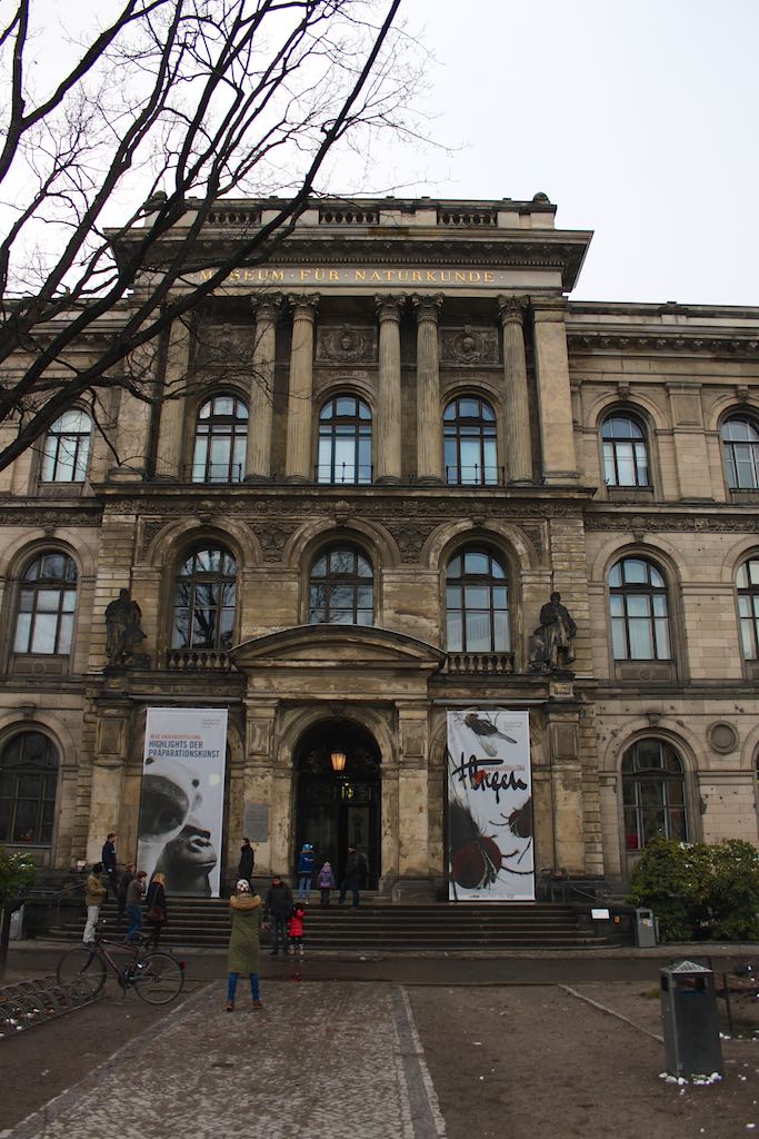 Visit the Natural History Museum (Naturkundemuseum) in Berlin