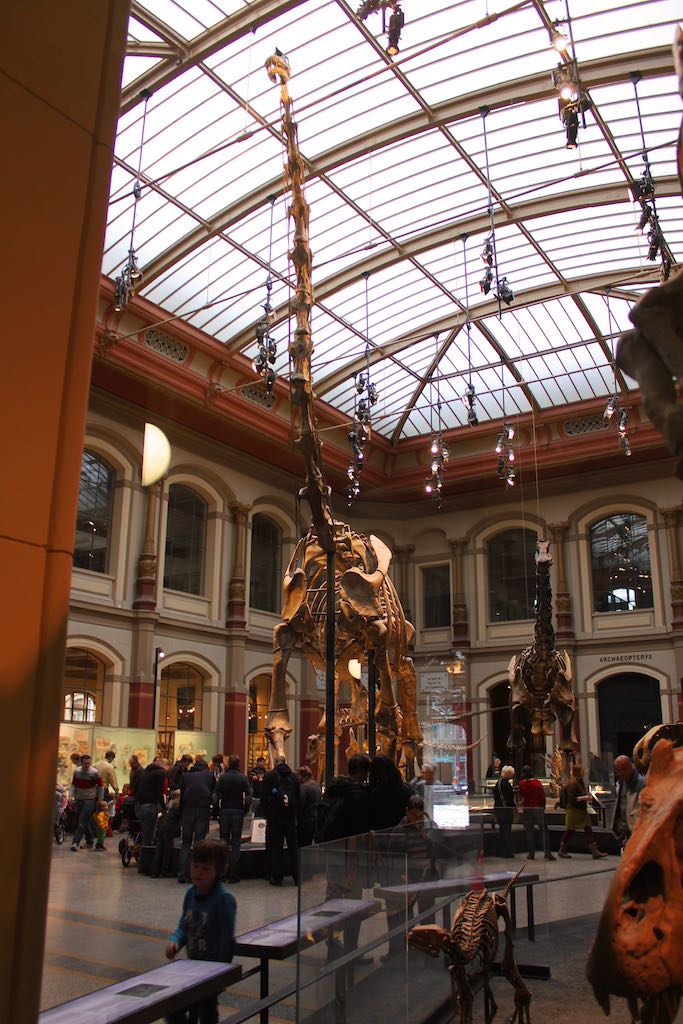 Visit the Natural History Museum (Naturkundemuseum) in Berlin