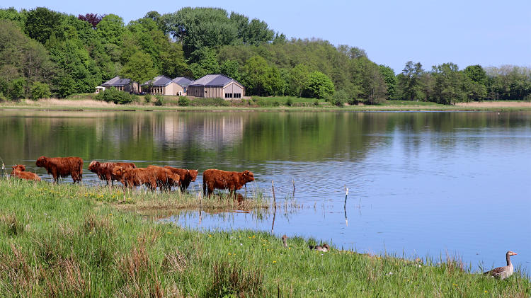 Visit the Hedeby Viking Museum and Village in Haithabu, Germany