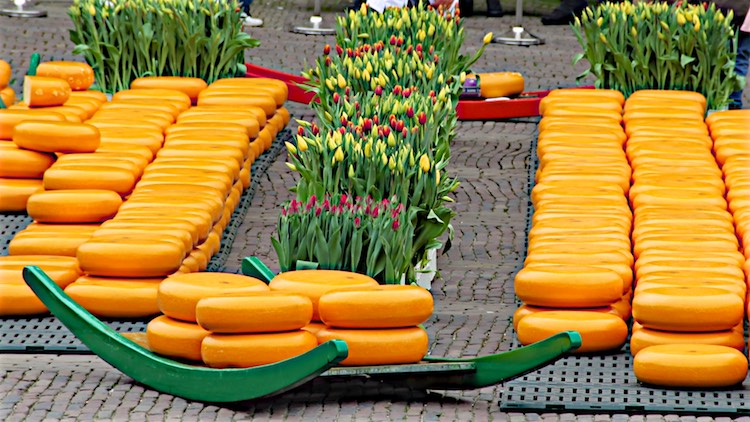 Visit Holland's Best Cheese Markets – Alkmaar, Gouda, Edam, Woerden