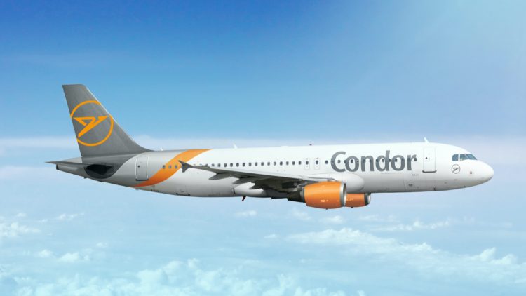 Guide to the Largest Major Airlines Flying in Germany