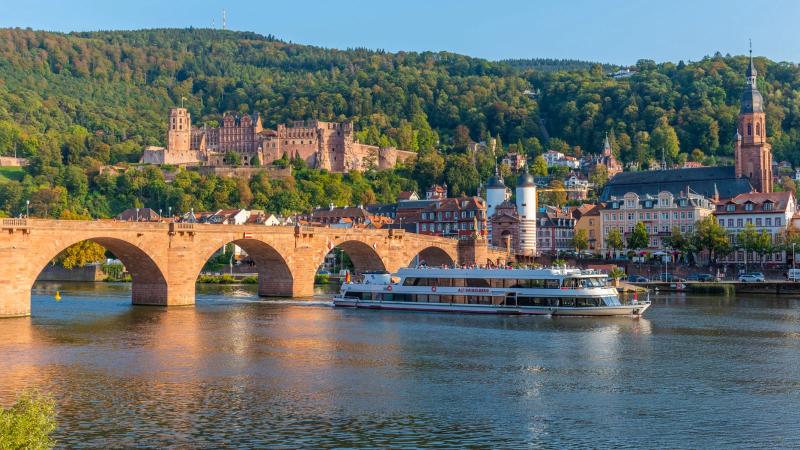 Rhine and Neckar River Boat Cruises from Heidelberg, Mannheim, and Worms